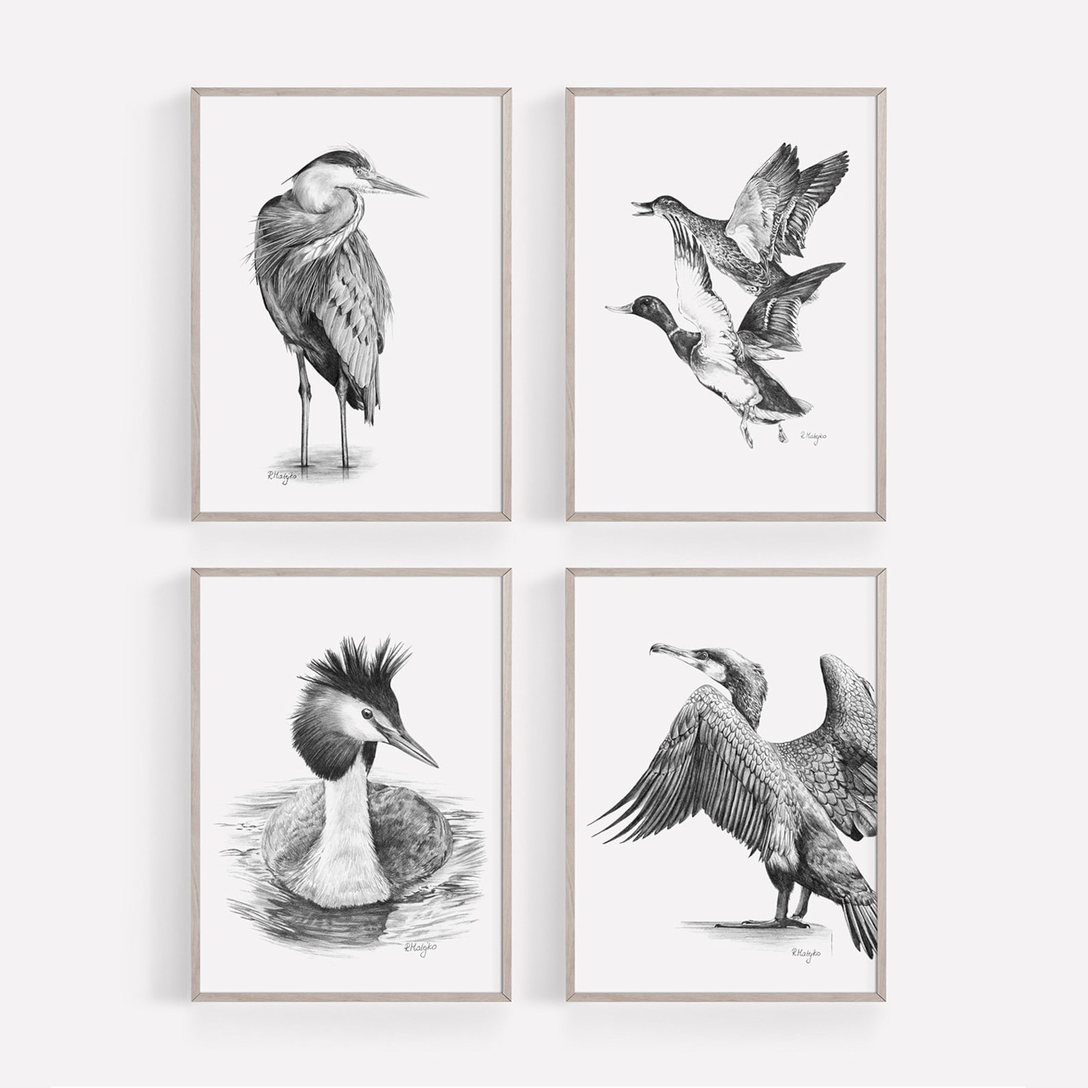 Water Birds Wall Art Print Set of 4 Printable Lake Birds | Etsy