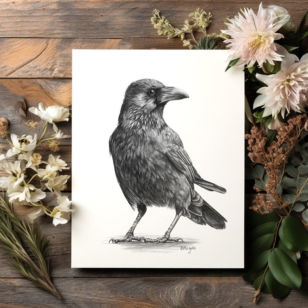 ORIGINAL Raven Pencil Drawing, Corvid Crow Bird Wall Art, Nature Decor ...
