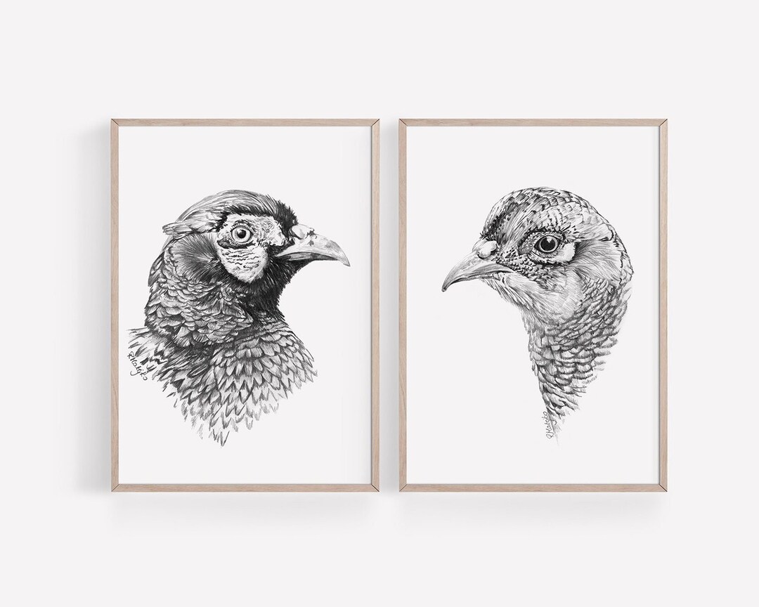 PRINTABLE Pheasants Art Print Set of 2, Game Bird Pencil Drawing Wall ...