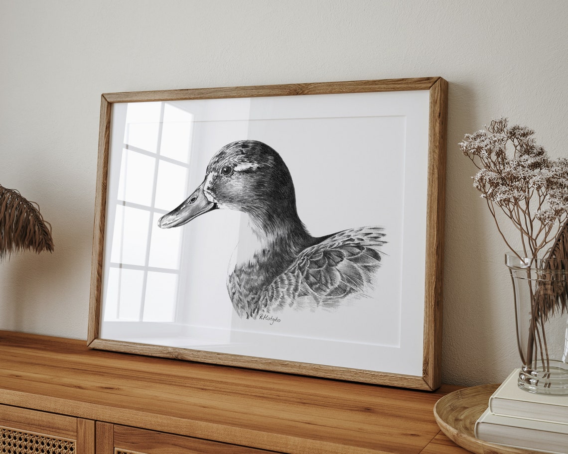 PRINTABLE Duck Art Print Duck Pencil Drawing Wall Art - Etsy
