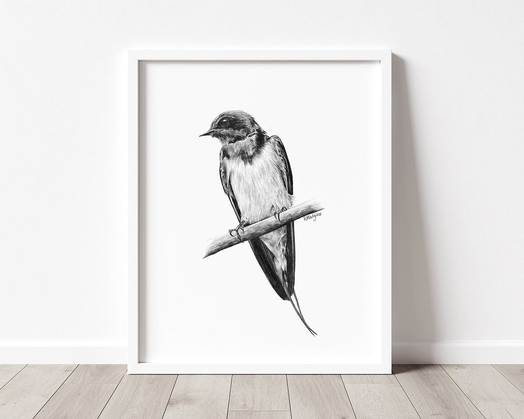 PRINTABLE Barn Swallow Art Print, Pencil Drawing Wall Art, British ...