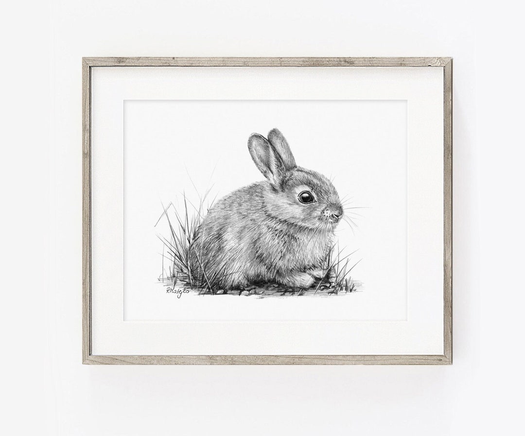 Baby Rabbit Art PRINT, Cute Bunny Pencil Drawing Wall Art, British ...