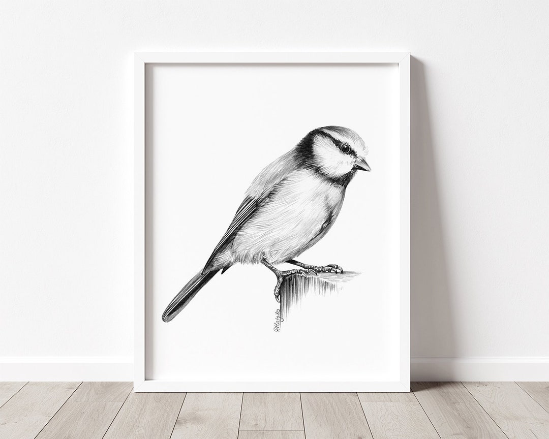 PRINTABLE Blue Tit Art Print, Pencil Drawing Wall Art, Printable ...