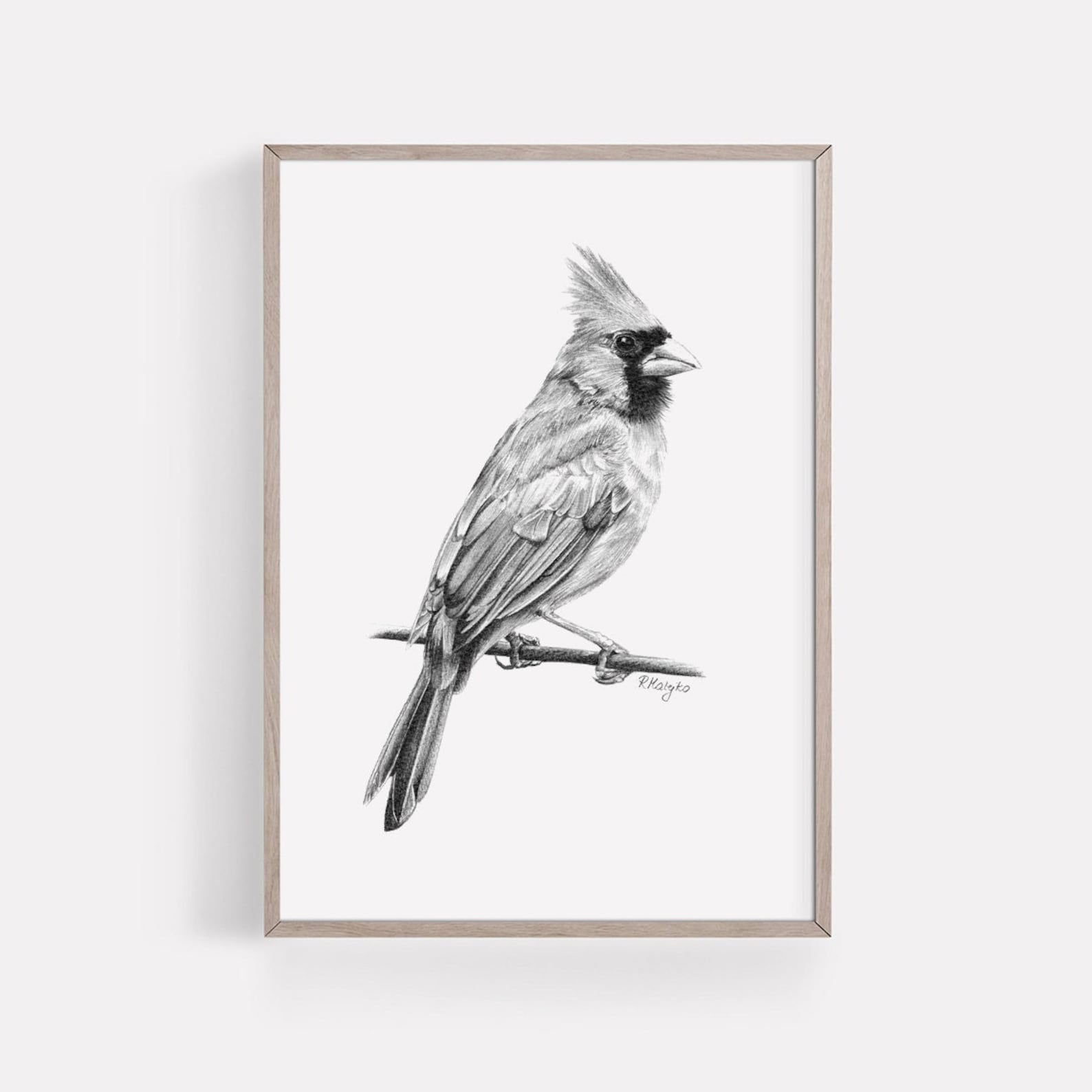 Cardinal Bird Art PRINT, Northern Cardinal Pencil Drawing Wall Art ...