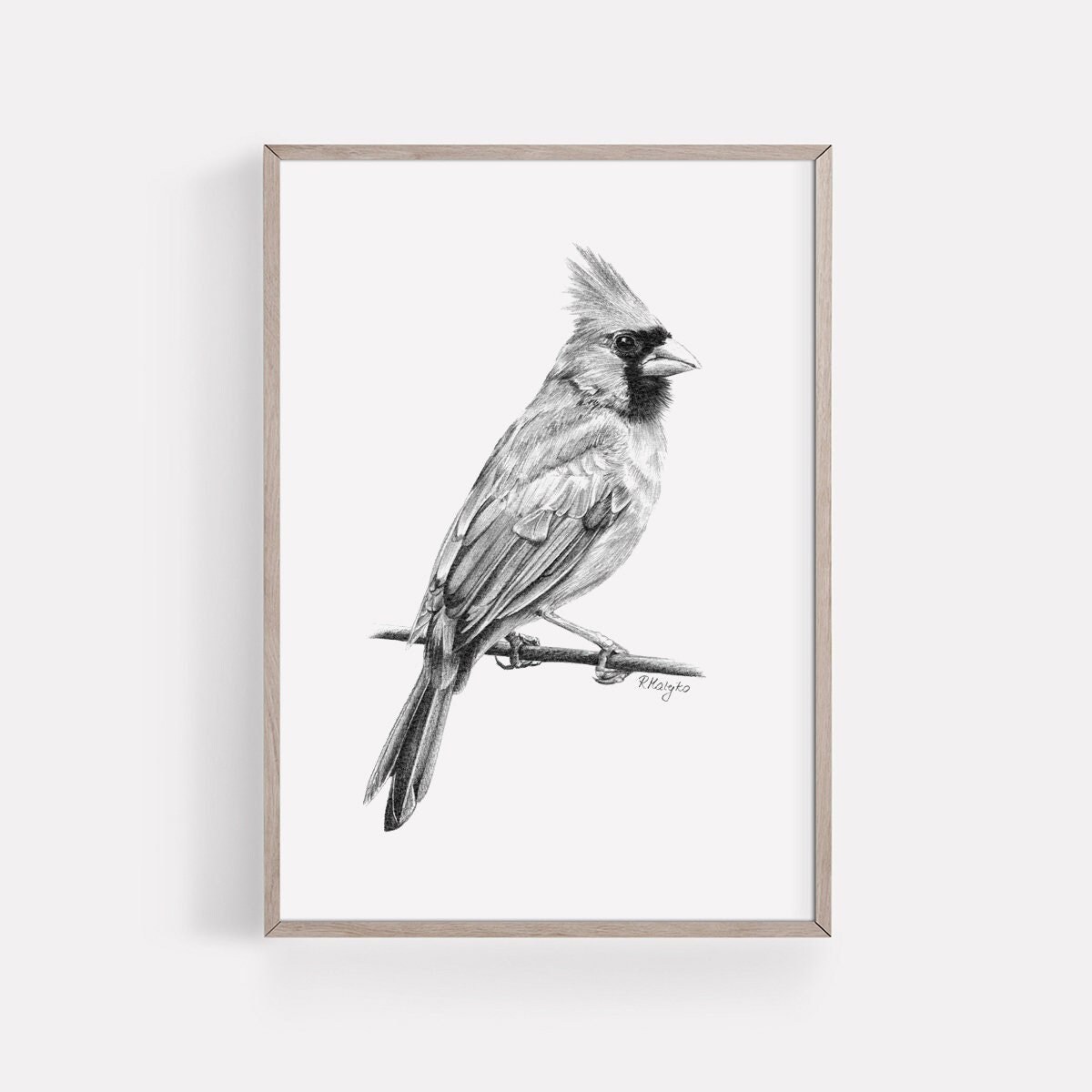 Cardinal Bird Art PRINT, Northern Cardinal Pencil Drawing Wall Art ...