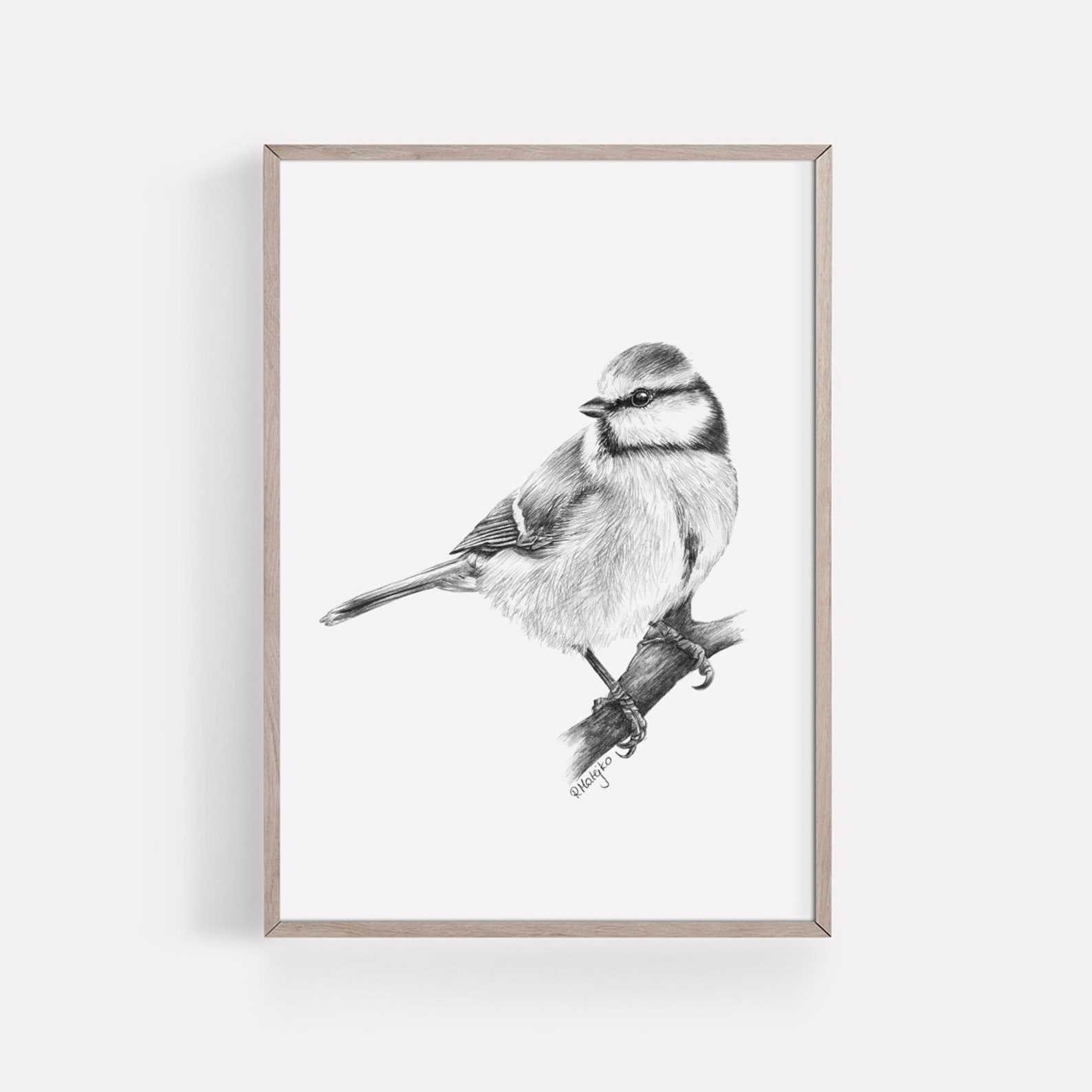 PRINTABLE Garden Birds Wall Art Print Set of 4, Graphite Pencil ...