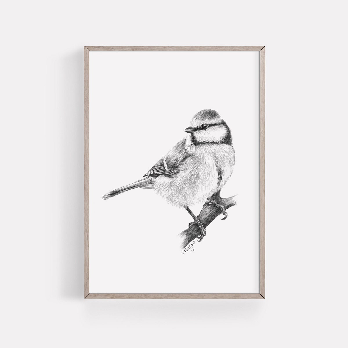 PRINTABLE Garden Birds Wall Art Print Set of 4 Graphite - Etsy