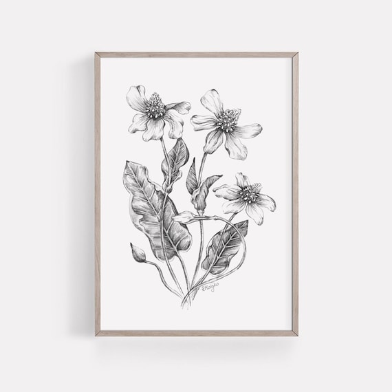 Flower Drawings To Print