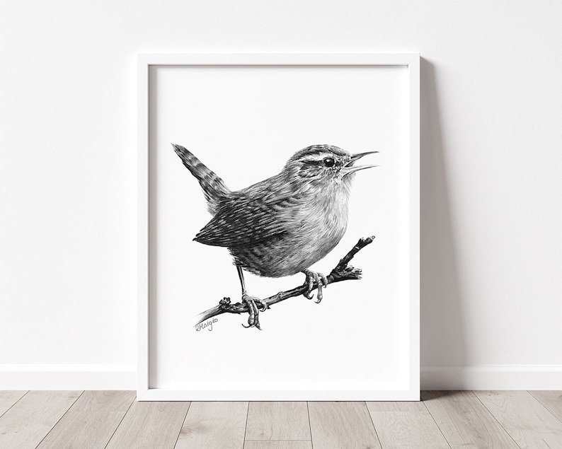 PRINTABLE Wren Art Print Wren Pencil Drawing Wall Art Garden - Etsy