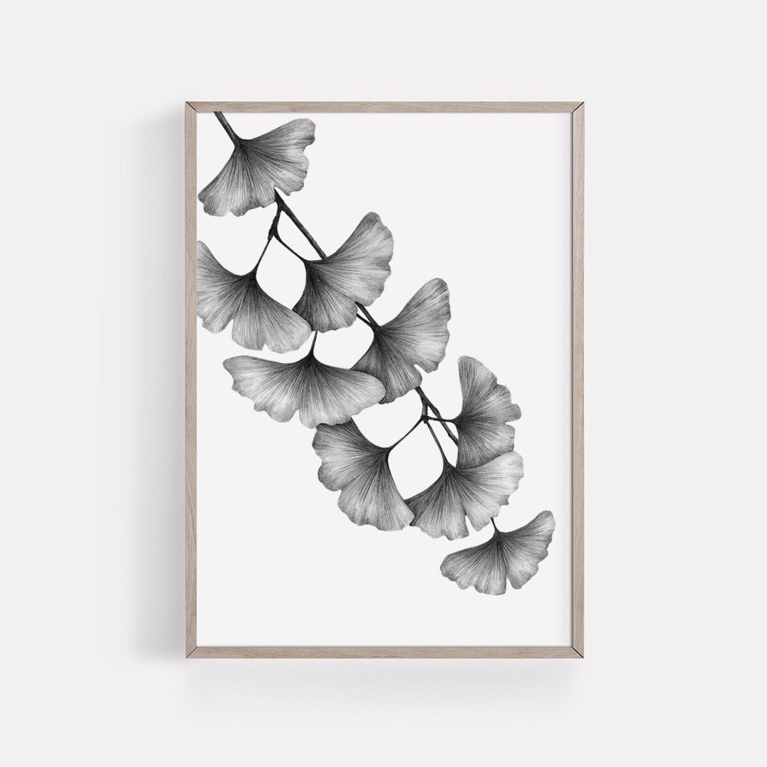 PRINTABLE Ginkgo Art Print Graphite Pencil Drawing Botanical - Etsy