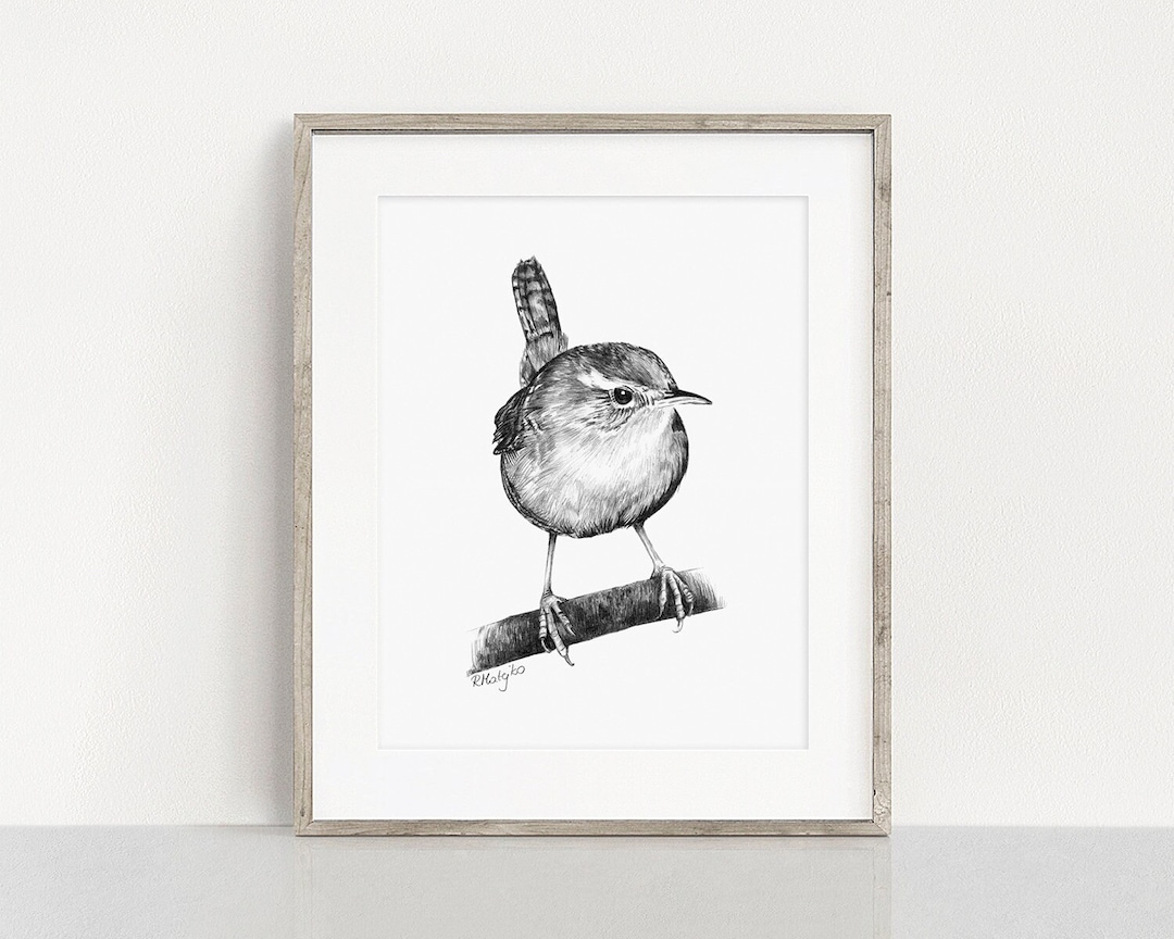 PRINTABLE Wren Art Print, Wren Pencil Drawing Wall Art, Garden Bird ...