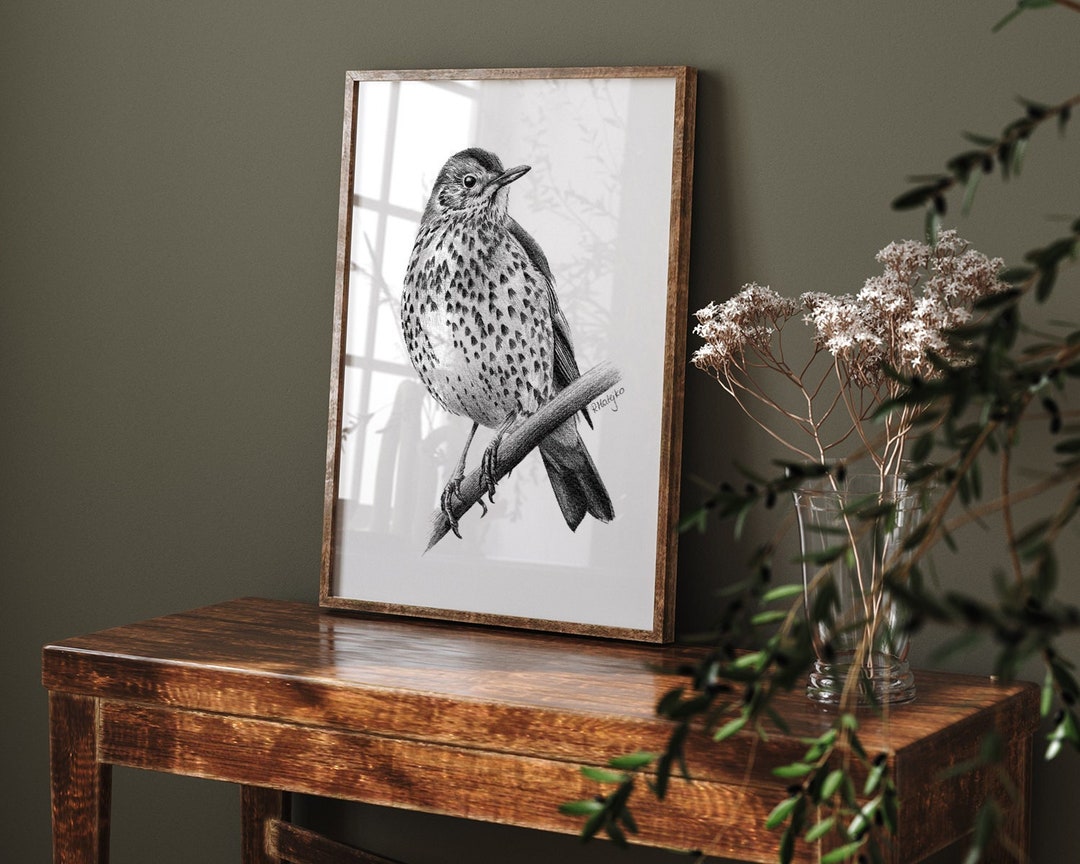 Song Thrush Art PRINT, Pencil Drawing Wall Art, British Garden Song ...