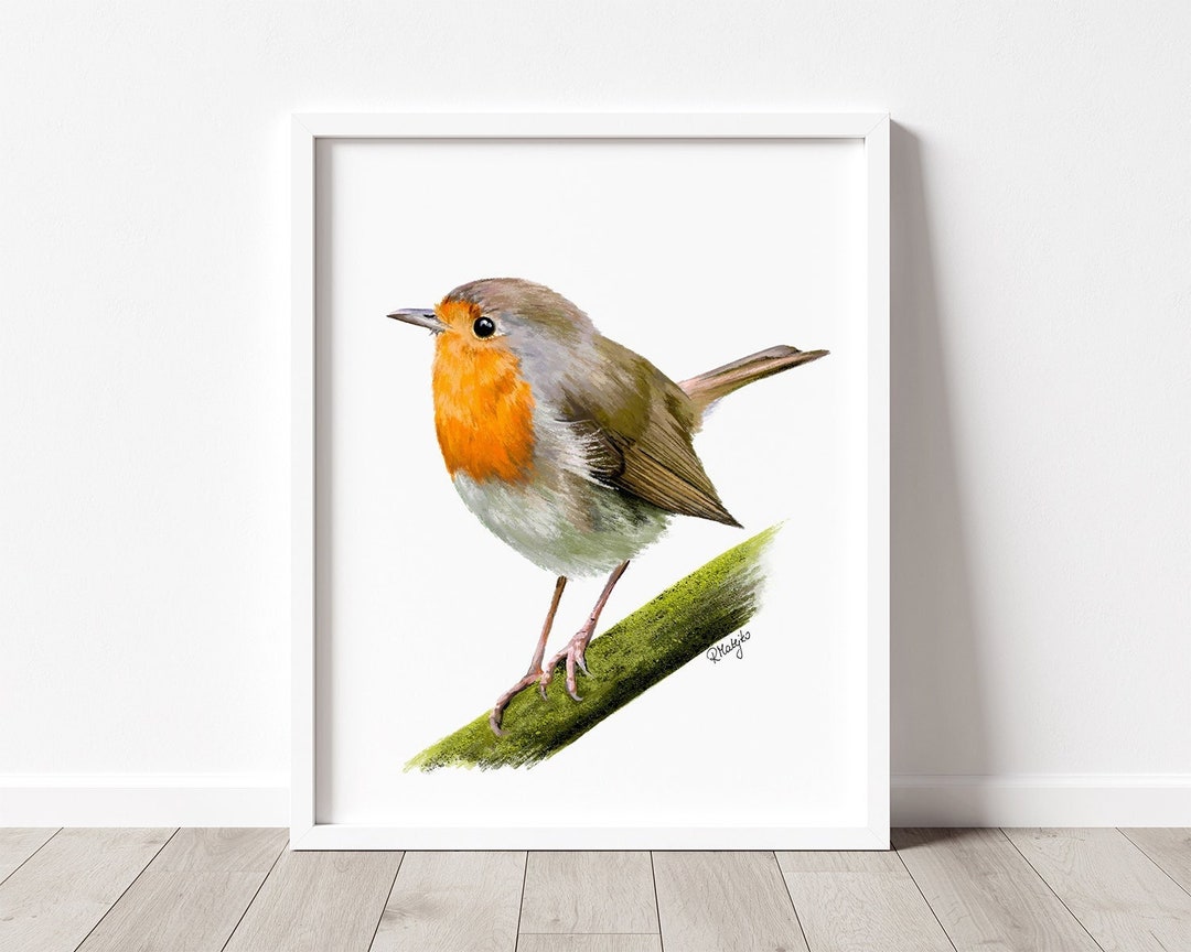 Robin Wall Art Print Robin Redbreast Bird Digital Painting - Etsy