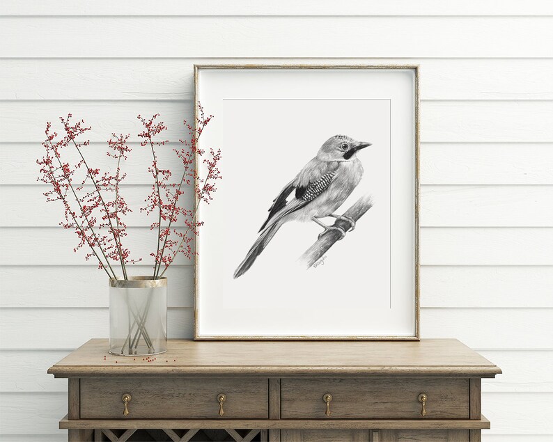 PRINTABLE Jay Bird Art Print, Jay Bird Pencil Drawing Wall Art ...