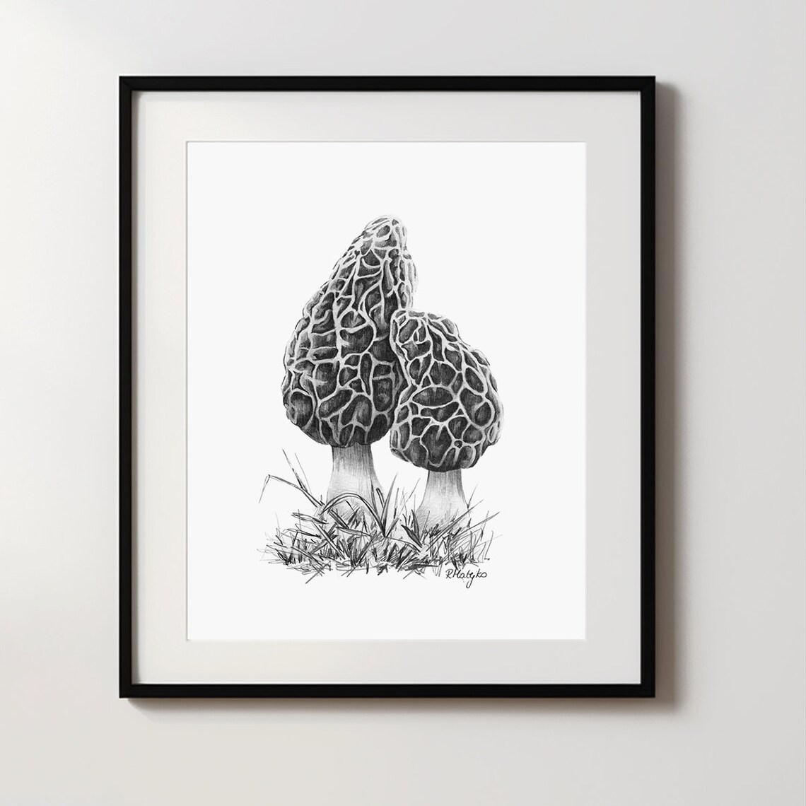 Morel Mushroom Art PRINT, Edible Fungi Pencil Drawing, Autumn Fall ...