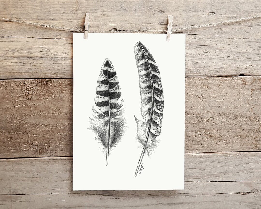 ORIGINAL Pheasant Feathers Pencil Drawing, Feathers Wall Art, Forest ...