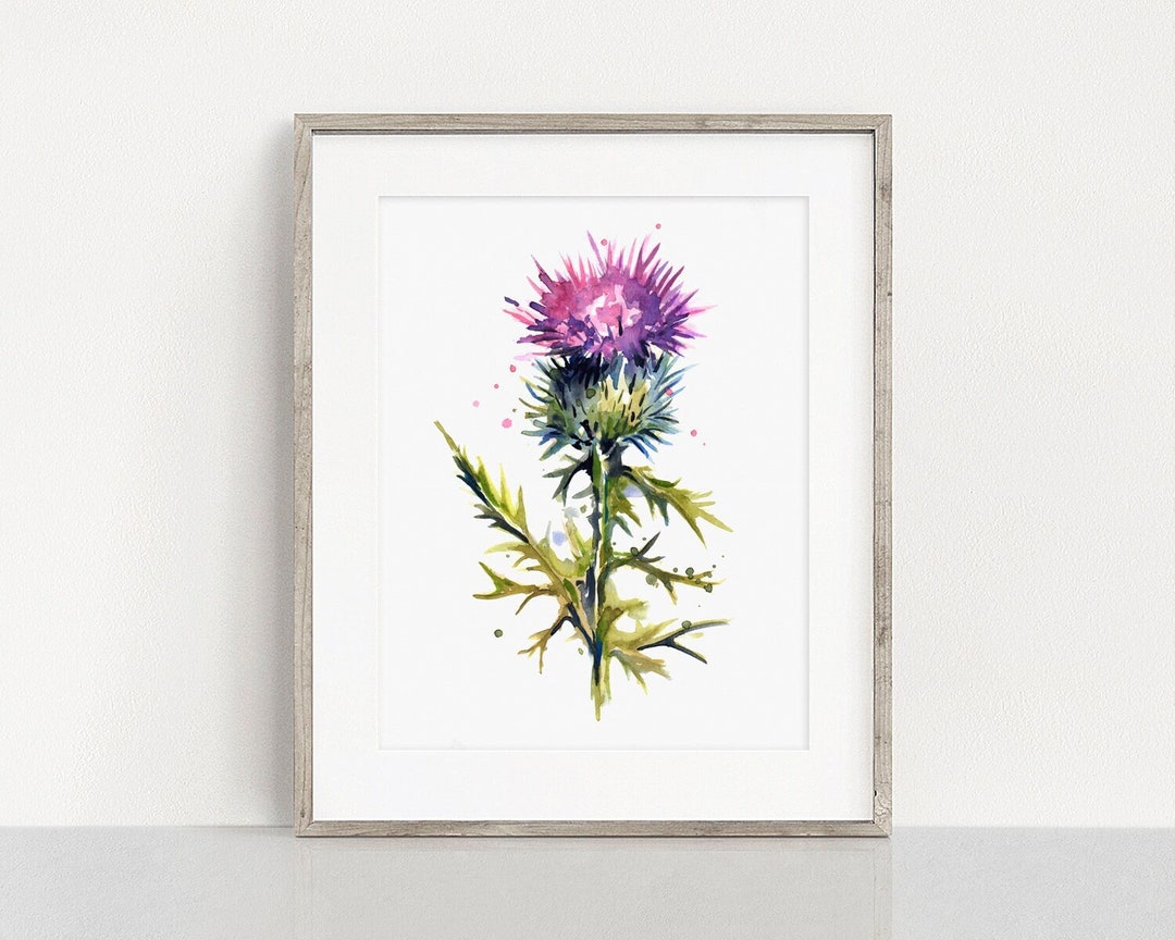 PRINTABLE Thistle Watercolour Art, Scottish Spear Thistle Painting ...