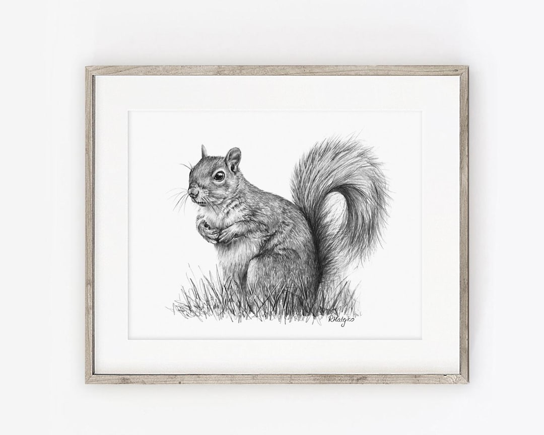 Squirrel Art PRINT, Grey Squirrel Drawing Wall Art, Woodland Animal ...