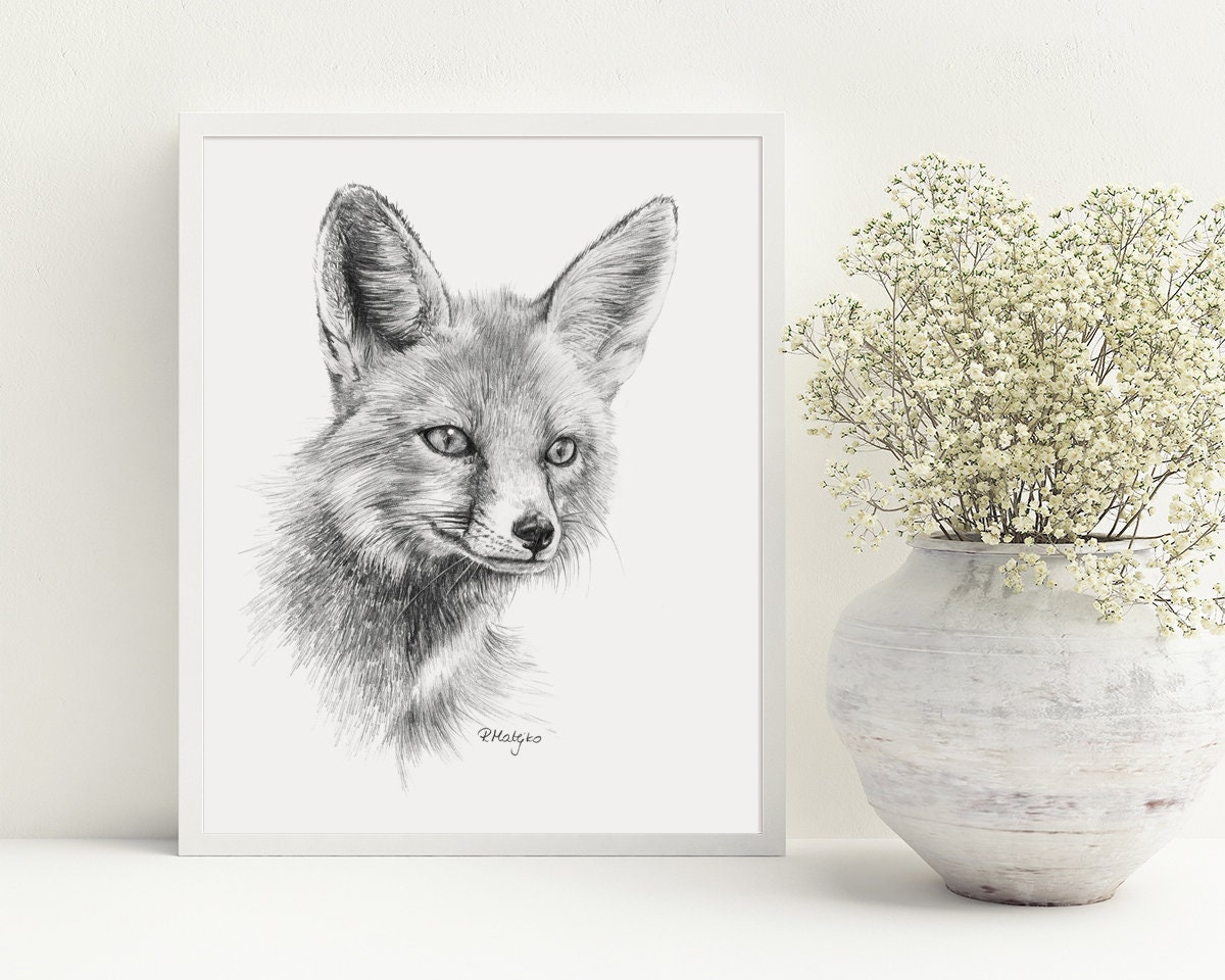 Desert Fox Drawing