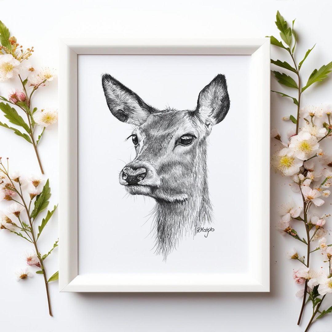 Deer Art PRINT, Red Deer Pencil Drawing Wall Art, Woodland Animal ...
