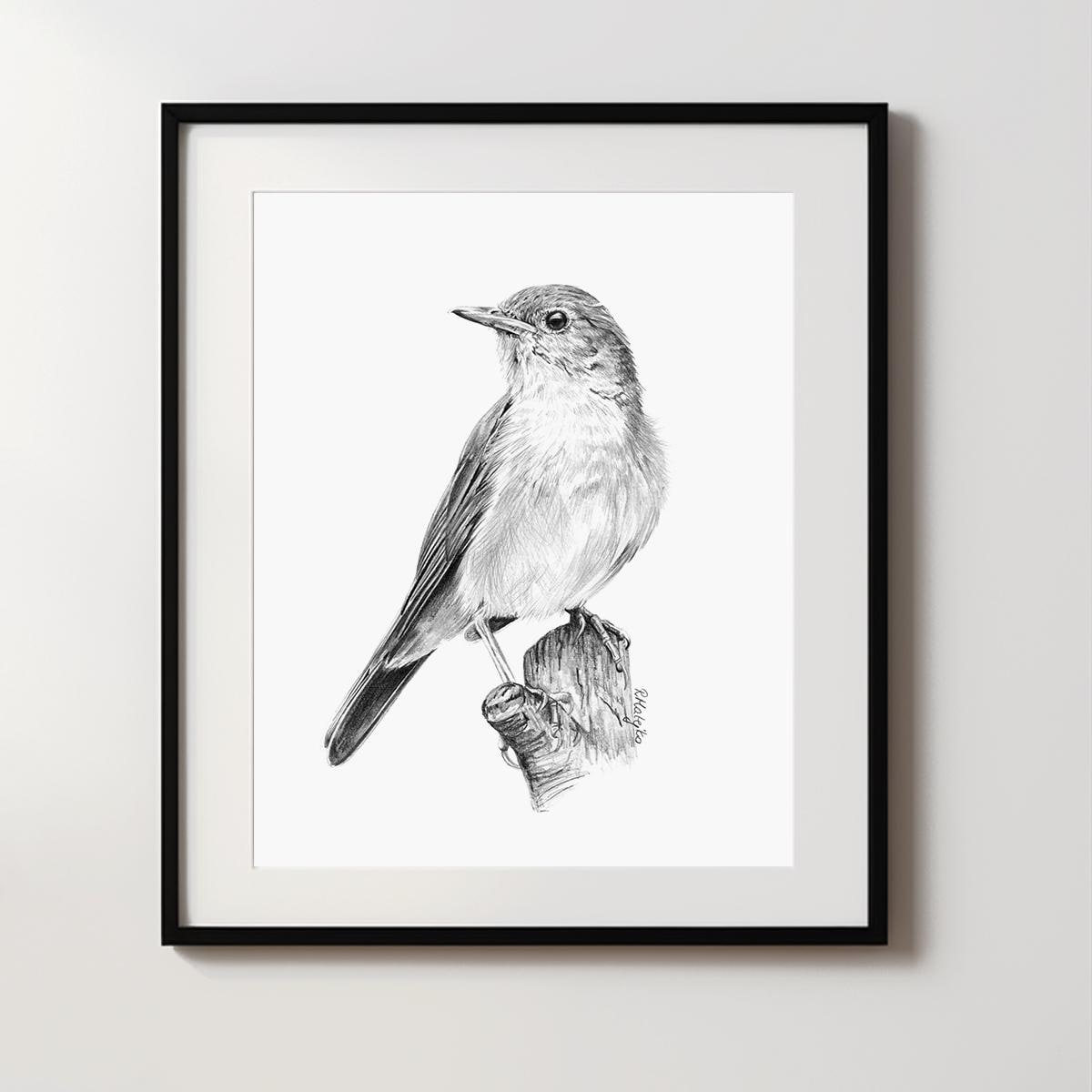Nightingale Art PRINT, Nightingale Pencil Drawing Wall Art, Garden Song ...