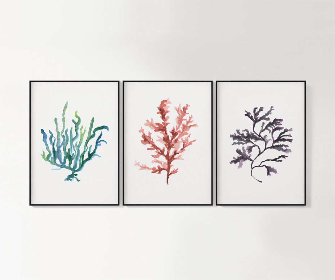 PRINTABLE Seaweed Art Set of 3 Watercolor Seaweed Triptych - Etsy