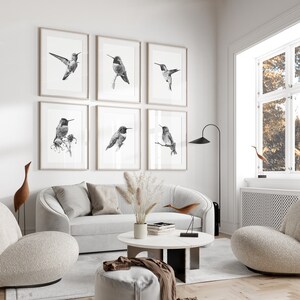 Hummingbirds Wall Art PRINT Set of 6, Graphite Pencil Drawings, Garden ...