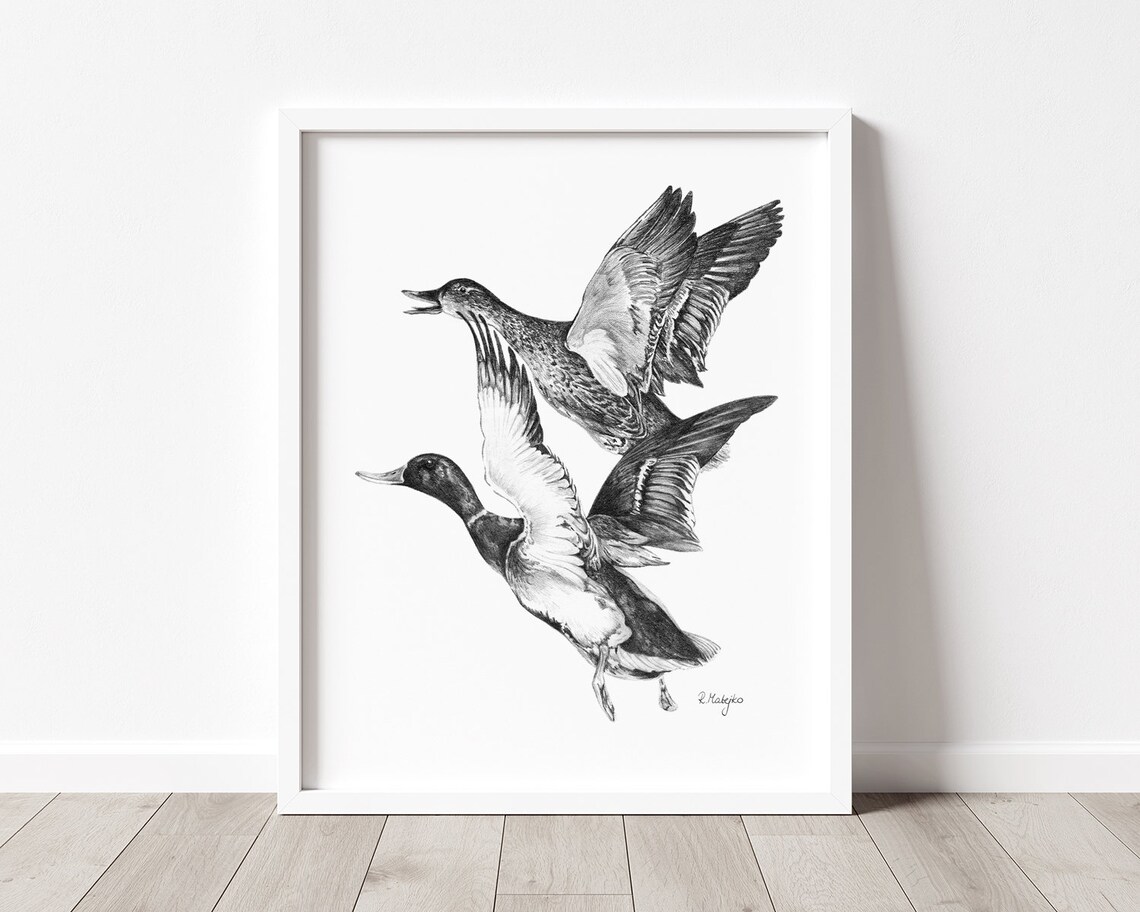 PRINTABLE Flying Ducks Art Print Mallard Duck Pencil Drawing - Etsy UK
