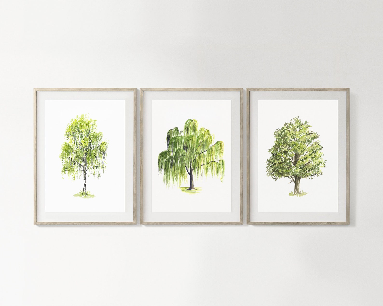 PRINTABLE Tree Art Set of 3 Watercolour Tree Painting, Silver Birch ...