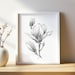 PRINTABLE Magnolia Art Print Graphite Pencil Drawing - Etsy