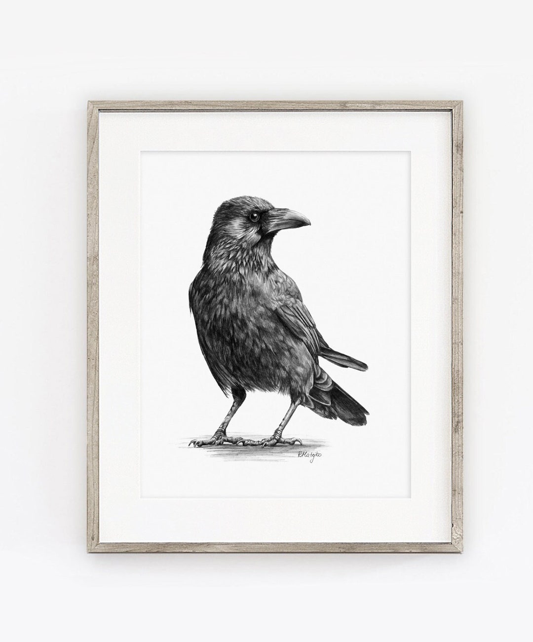 Raven Bird Art PRINT, Raven Pencil Drawing Wall Art, Nature Decor ...