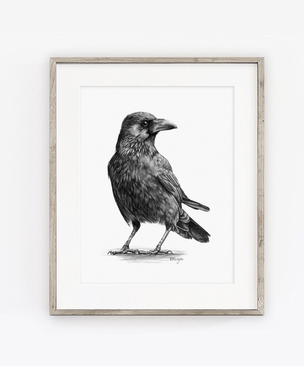 Evil Flying Crow Drawing