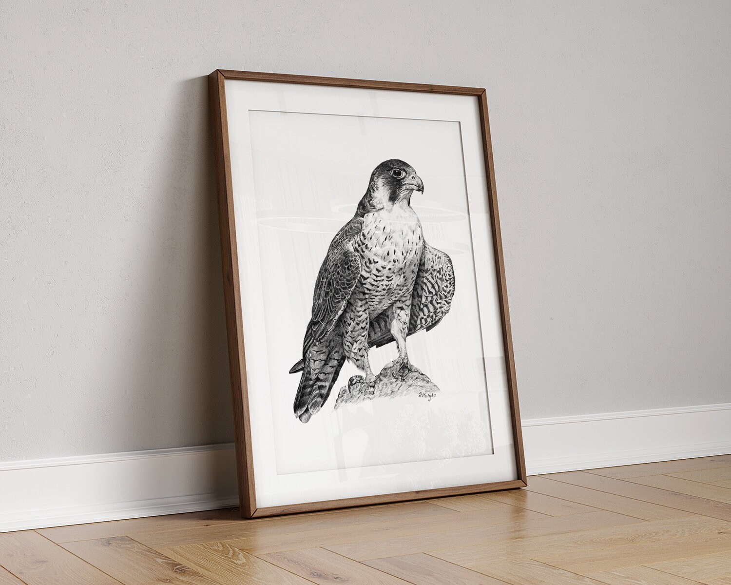 Peregrine Falcon Art PRINT, Bird of Prey Wall Art, Falconry Bird Sketch ...