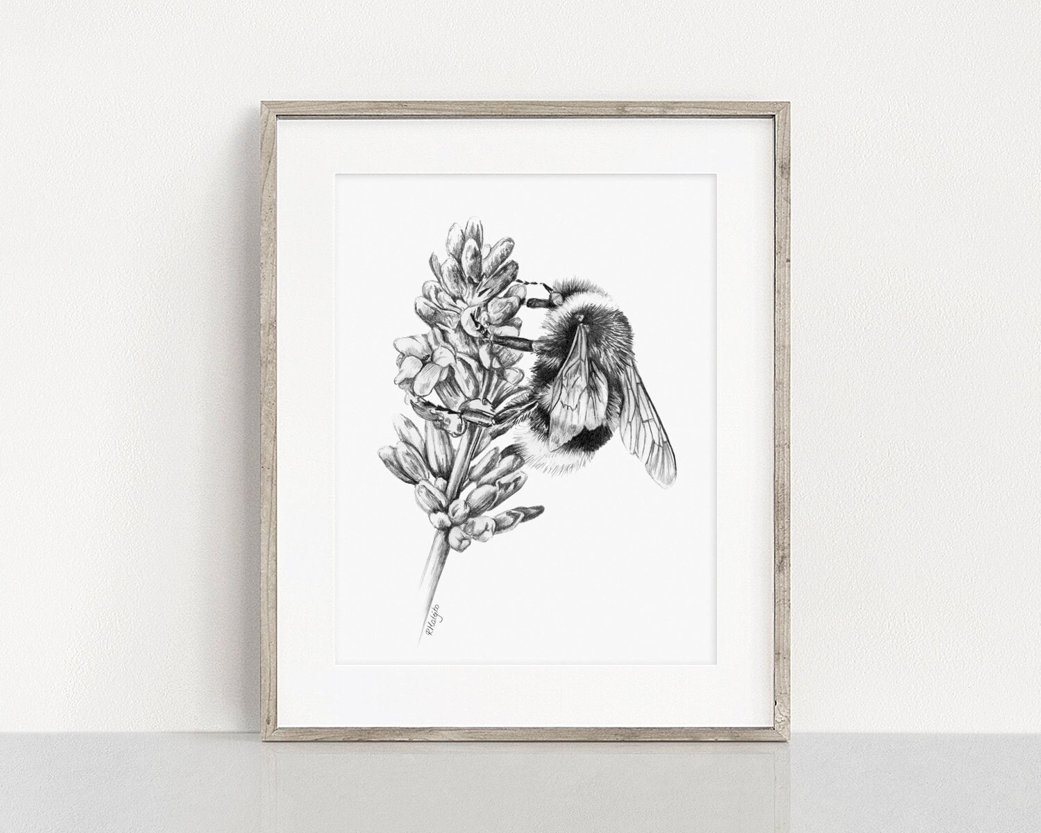 Bumblebee Art PRINT, Pencil Drawing Wall Art, Nature Decor, Garden ...