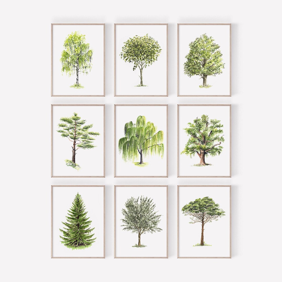 PRINTABLE Tree Art Set of 9 - Watercolor Tree Painting, Pine Silver ...