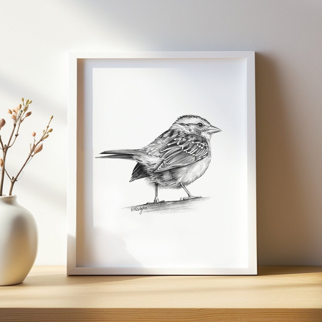 Sparrow Art PRINT, Sparrow Drawing Wall Art, Nature Decor, Garden Bird ...