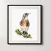 Fieldfare Art PRINT, Winter Bird Watercolour Painting Wall Art, British ...