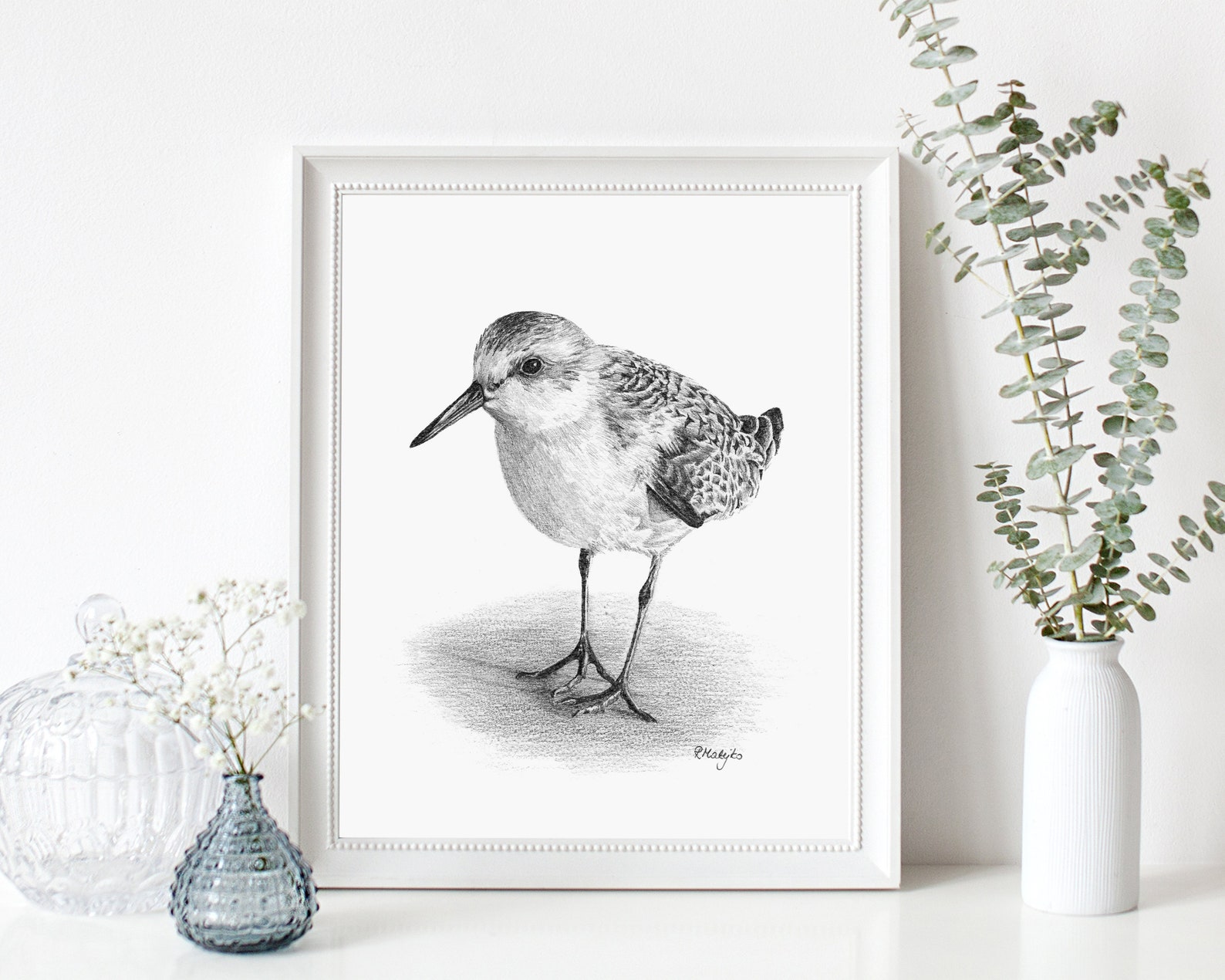 PRINTABLE Sanderling Art Print Sandpiper Pencil Drawing Wall - Etsy