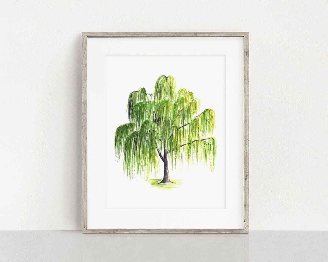 PRINTABLE Willow Tree Art - Watercolor Weeping Willow Tree Print ...