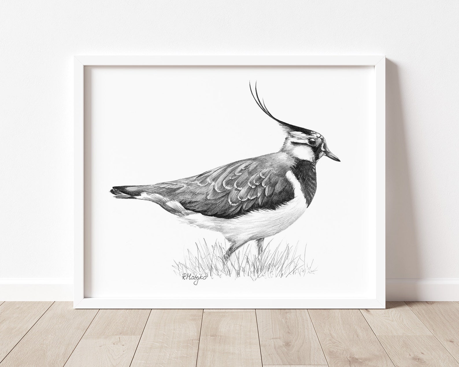 Lapwing Art PRINT Lapwing Pencil Drawing Wading Bird Sketch - Etsy UK