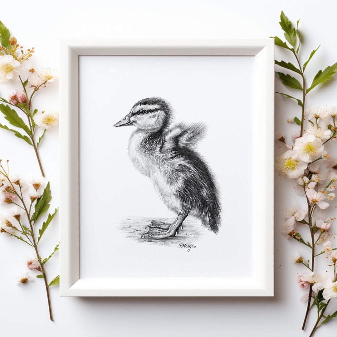 Duckling Art PRINT, Cute Baby Duck Pencil Drawing Wall Art, British ...