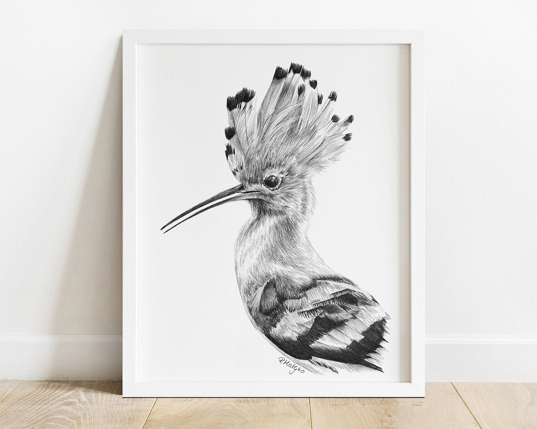 PRINTABLE Hoopoe Art Print, Pencil Drawing Wall Art, Printable ...
