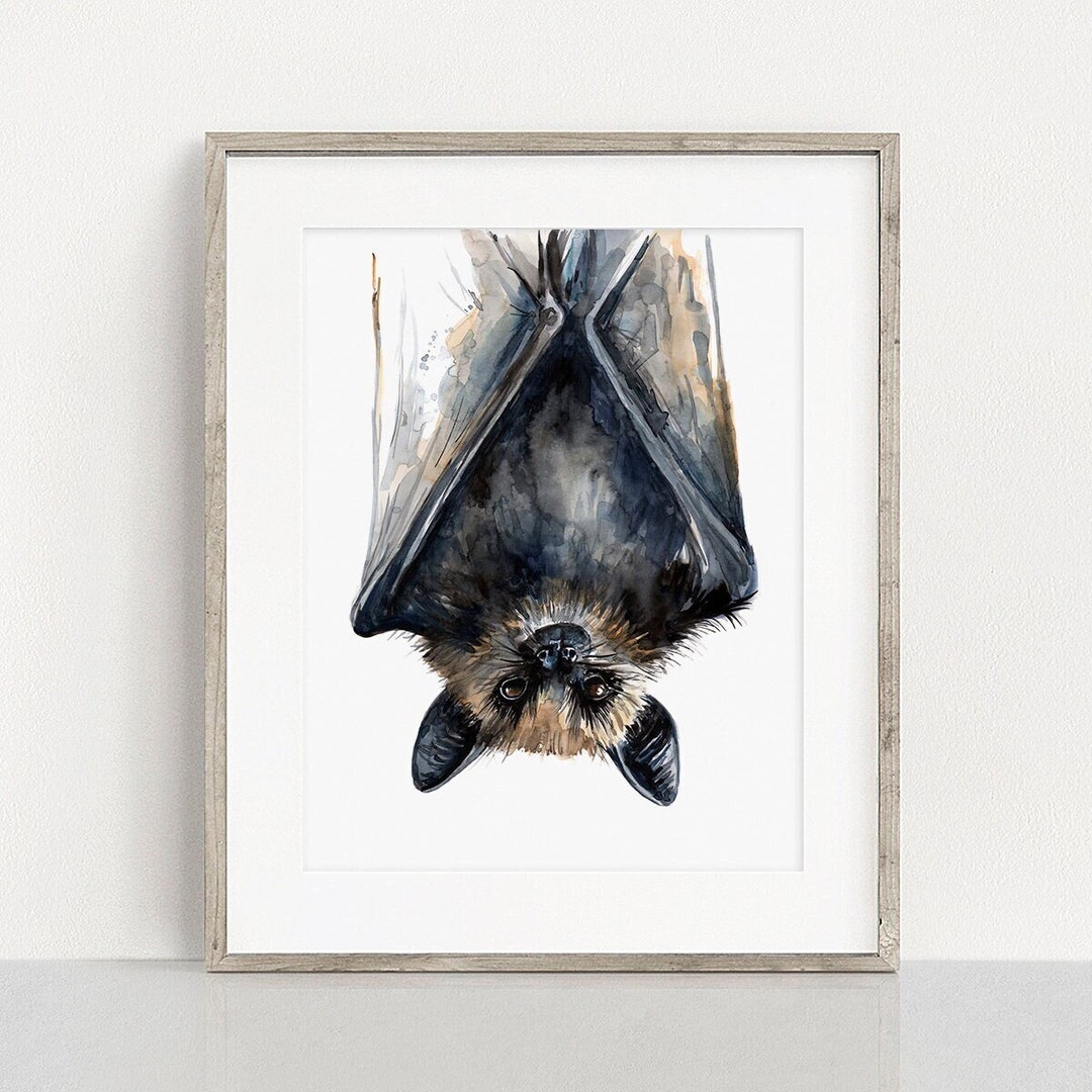 Bat Art PRINT, Watercolour Painting, Hanging Bat Print From Original ...