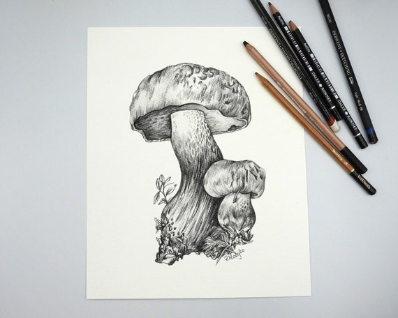 Mushroom Forest Drawing