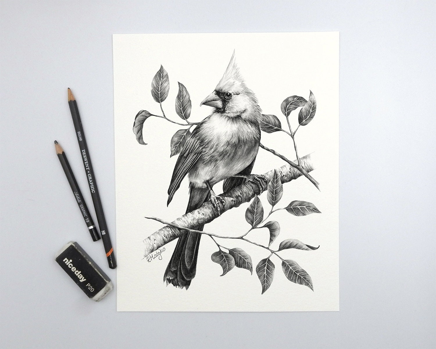PRINTABLE Northern Cardinal Art Print, Red Cardinal Pencil Drawing Wall ...