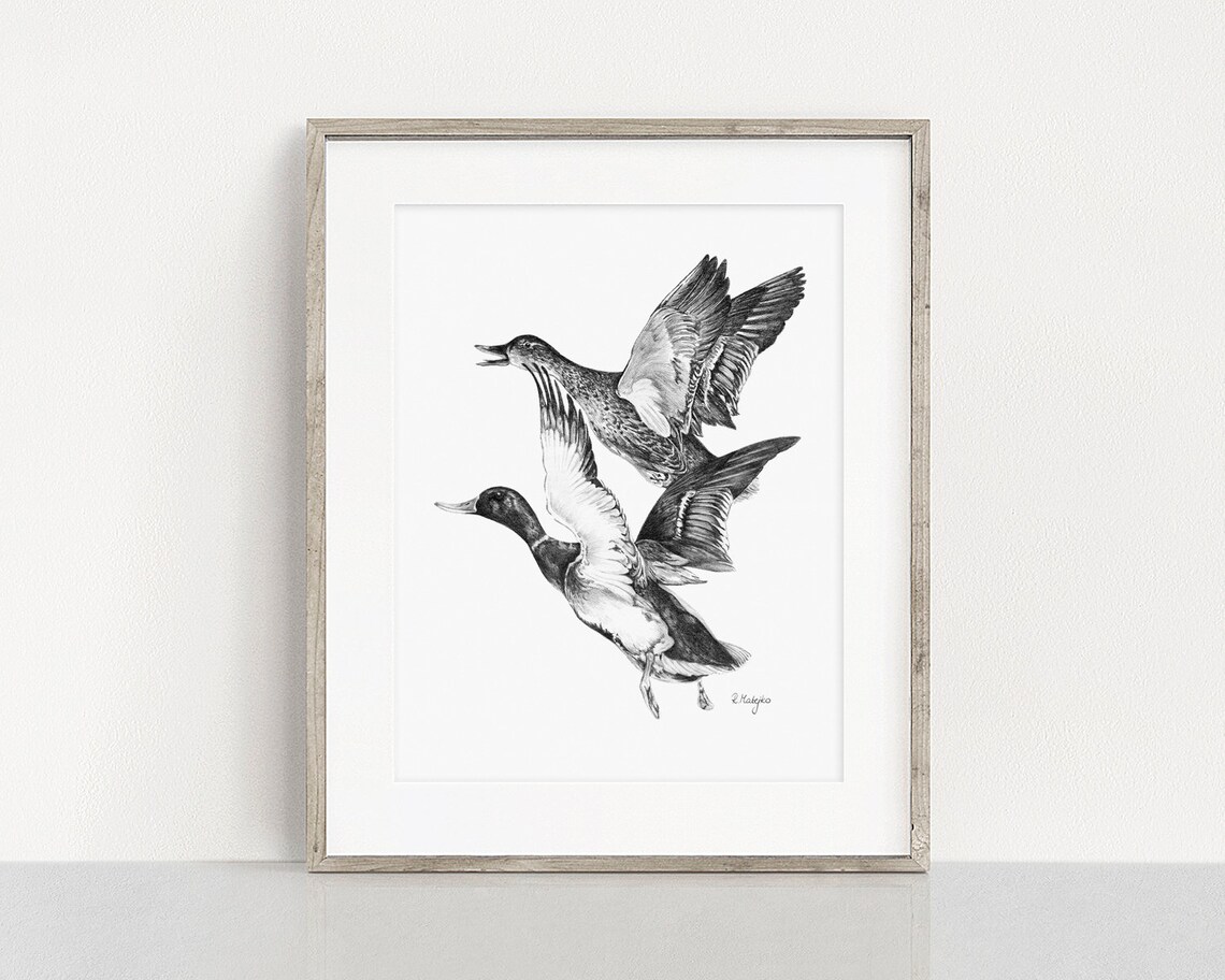 PRINTABLE Flying Ducks Art Print Mallard Duck Pencil Drawing - Etsy UK