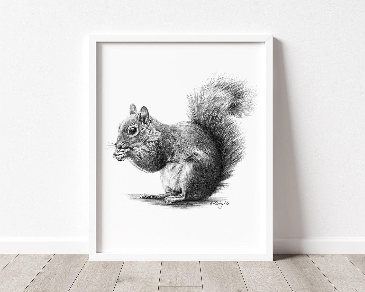 Squirrel Pencil Drawing