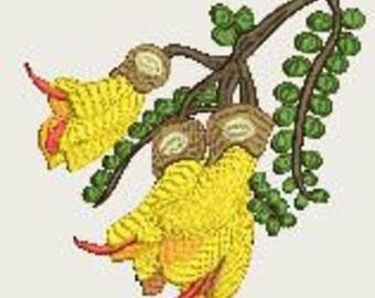 Native New Zealand - Etsy