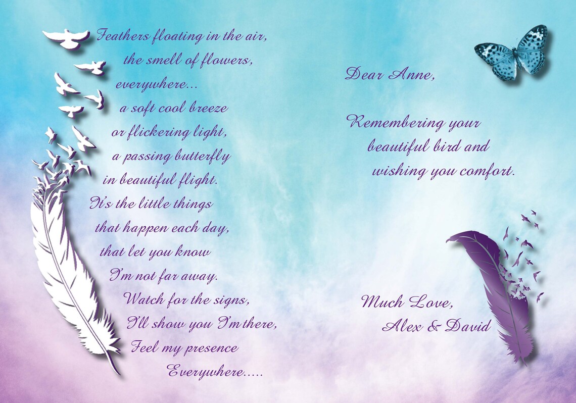 Bird Sympathy Card Bird Sympathy Bird Prints Parakeet Card - Etsy