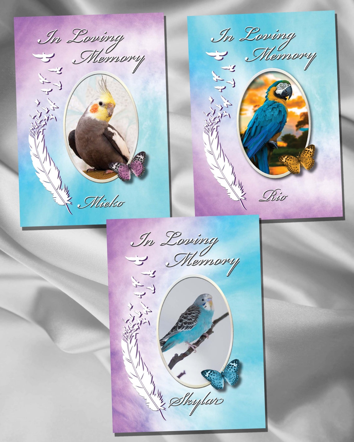 Bird Sympathy Card Bird Sympathy Bird Prints Parakeet Card | Etsy